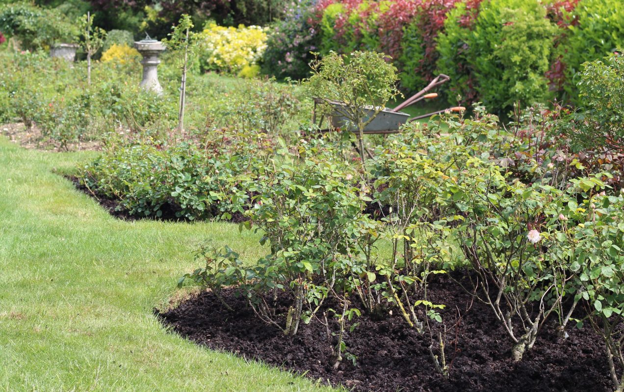 Summer mulch spreading